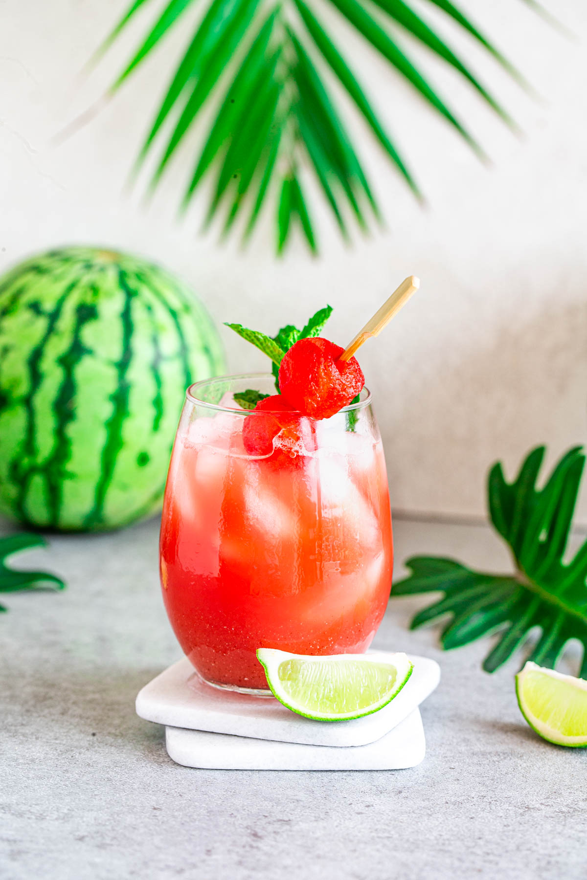 Watermelon Cocktail - Mixop